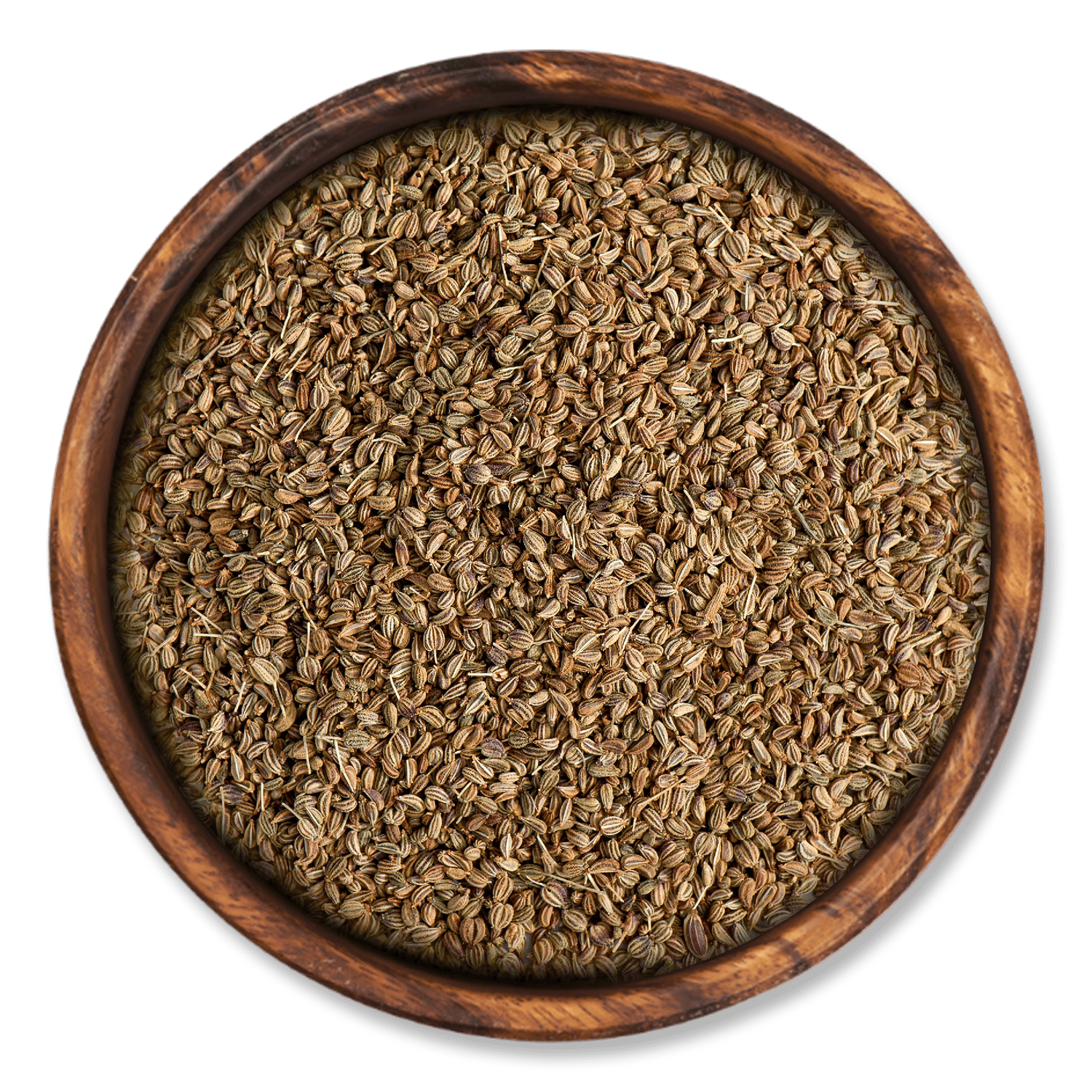 AJWAIN SEED – Shiva Unitrade
